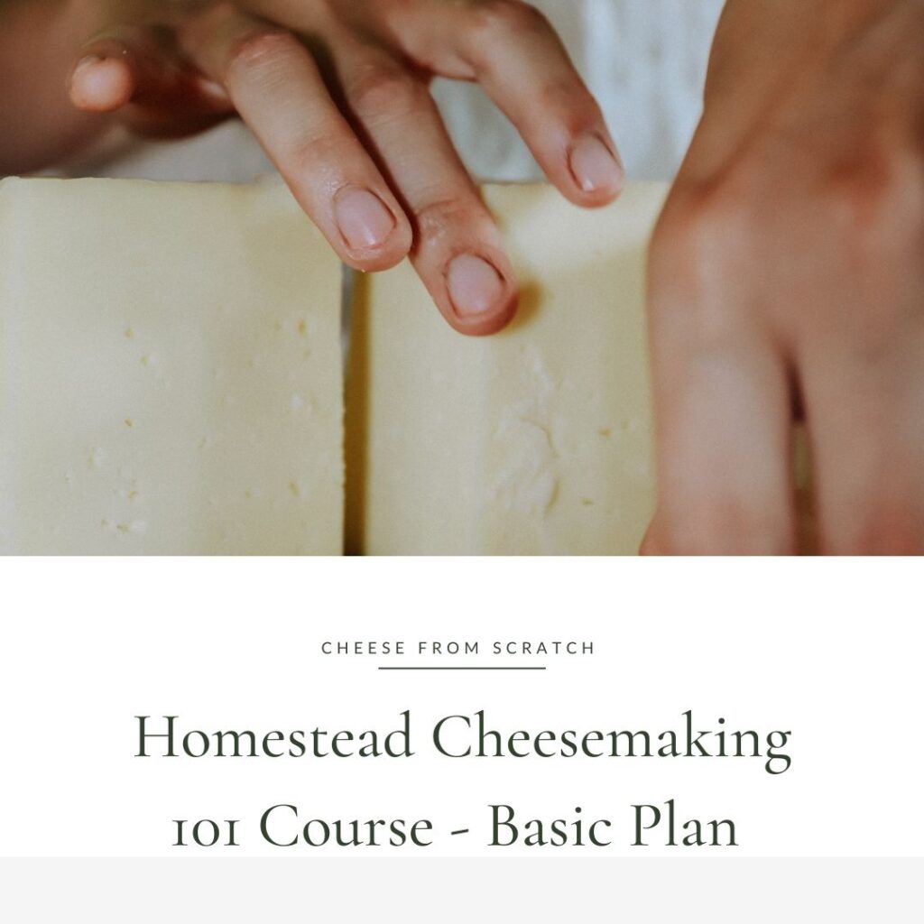 Courses – Cheese From Scratch